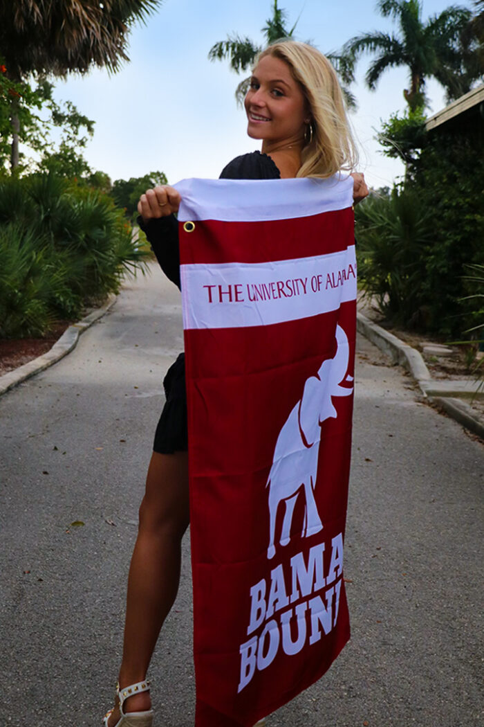 Hillary Martin – Transducer Shield and Saver